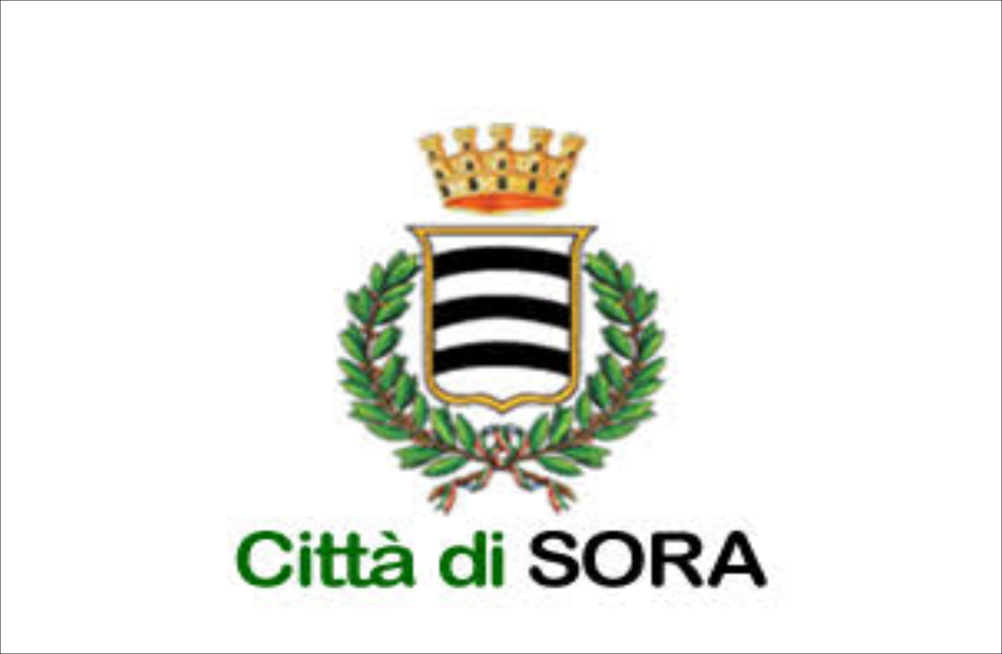 Comune di Sora – Aggiornamento dell’ elenco per l’affidamento dei ...
